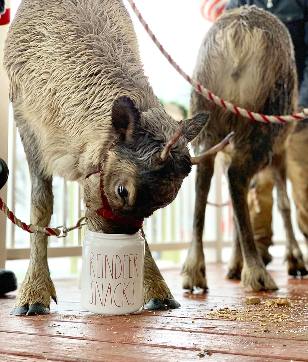 clay. – Rae Dunn … clay - Fine Handmade Pottery